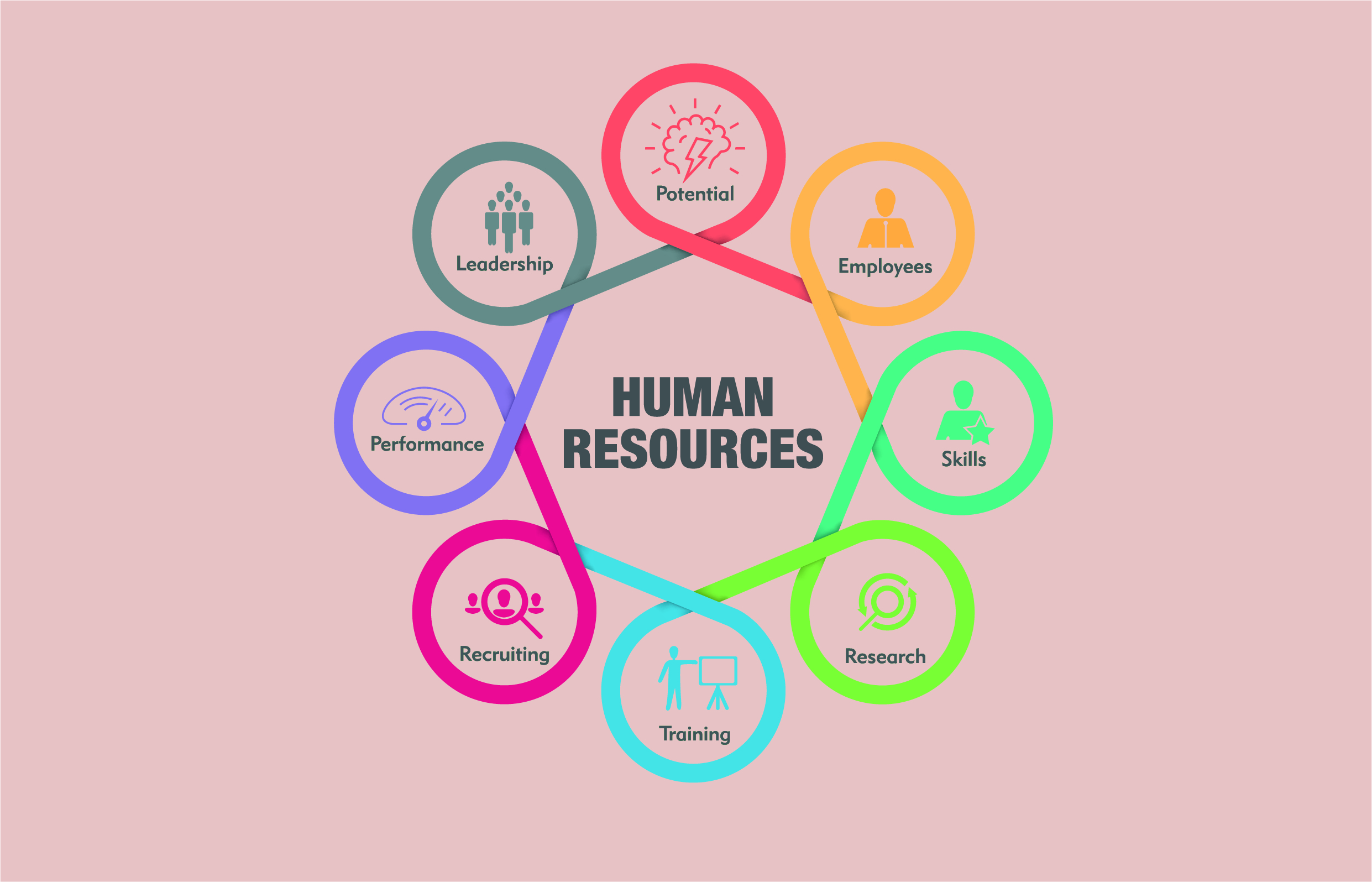What Is A Human Resources Management System and Why Do You Need One ...